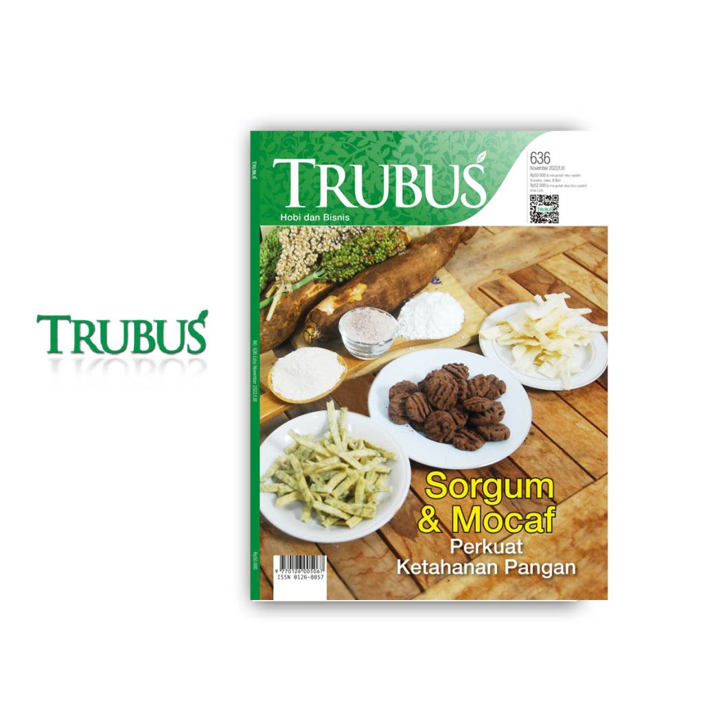 MAJALAH TRUBUS EDISI 636 NOVEMBER 2022 - Niaga Swadaya