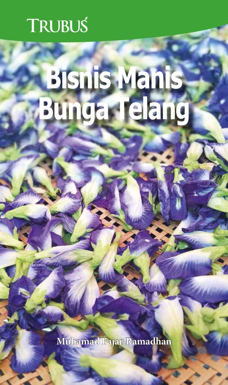 Bisnis Manis Bunga Telang - Niaga Swadaya
