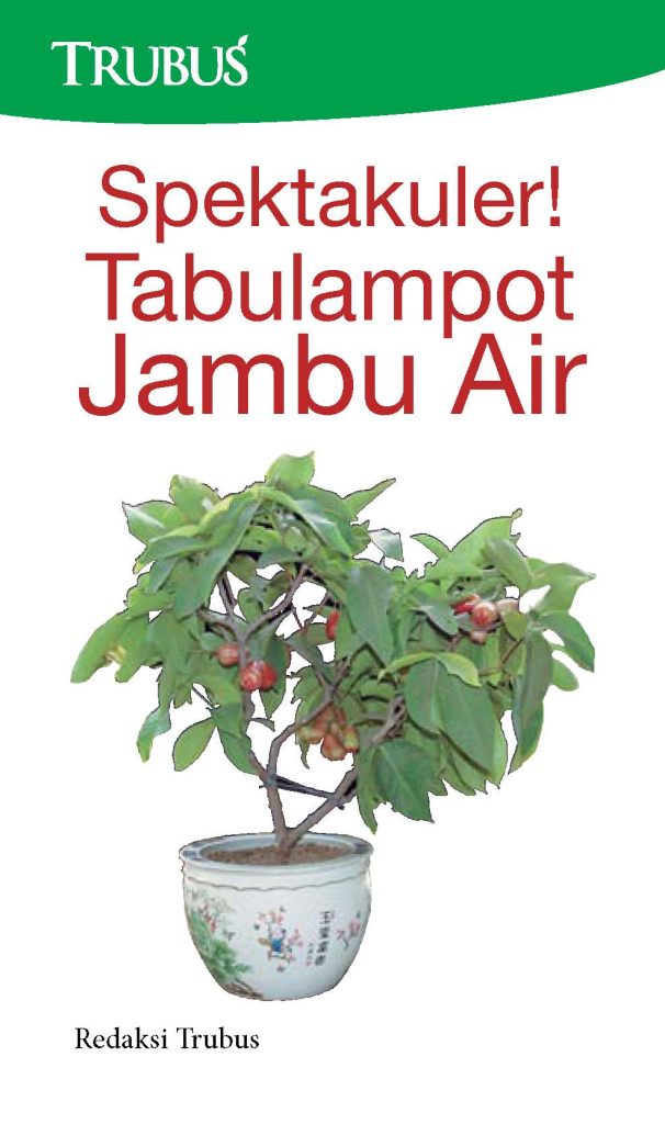 Spektakuler ! Tabulampot Jambu AIr - Niaga Swadaya